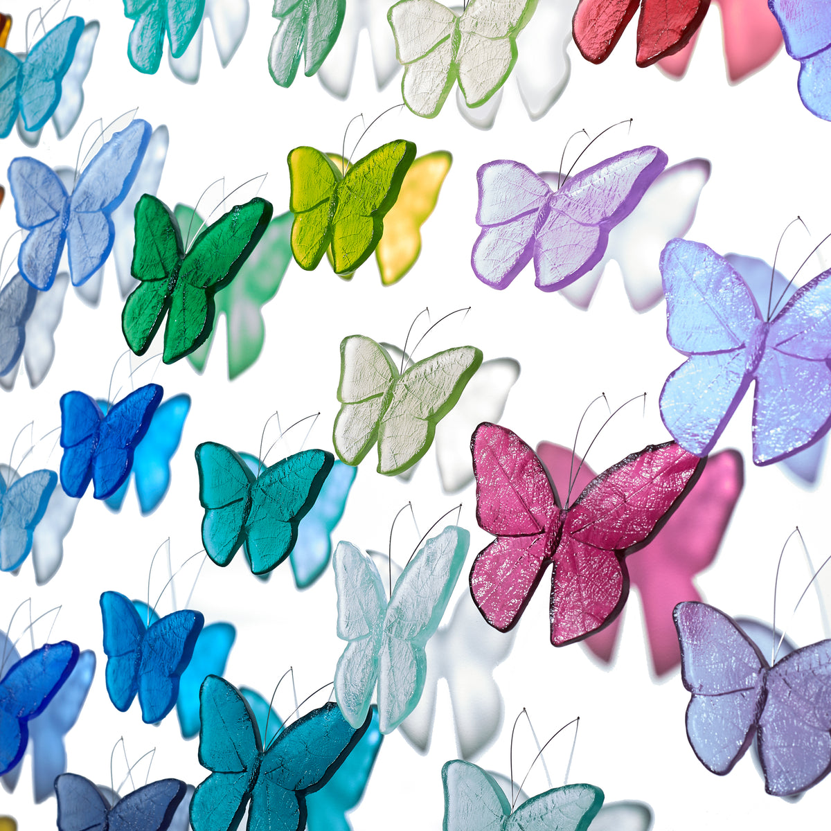 BUTTERFLIES – Luke Jacomb Studio - Lukeke